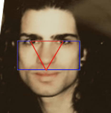 Harmony - Compact Midface | Looksmax.org - Men's Self-Improvement ...