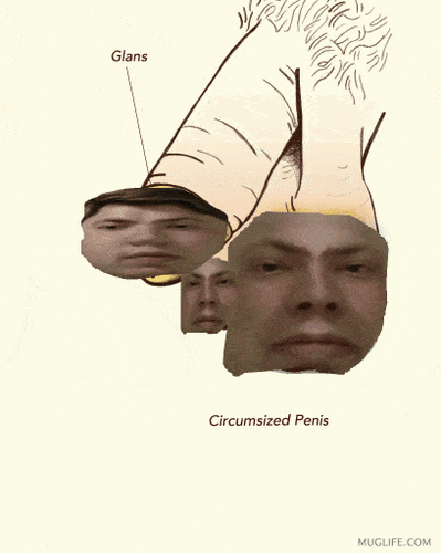  Ded Srs Is My DICK Too Small Looksmax Men s Self Improvement