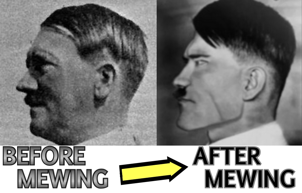 HITLER WAS THE BIGGEST CHAD EVER | Looksmax - Men's Self-Improvement ...