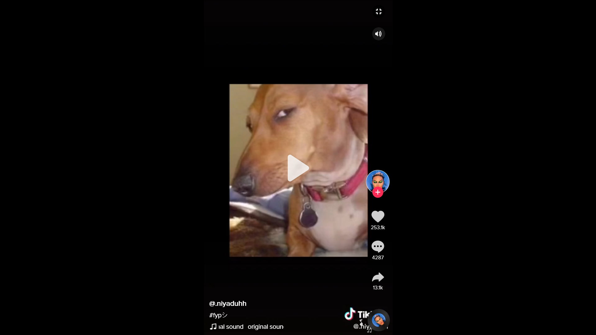 Hot guy appears and stacy goes crazy for his looks while making tik tok ...