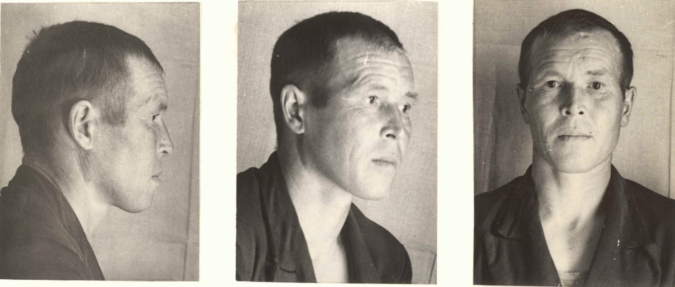 Classify my phenothype | Looksmax.org - Men's Self-Improvement & Aesthetics