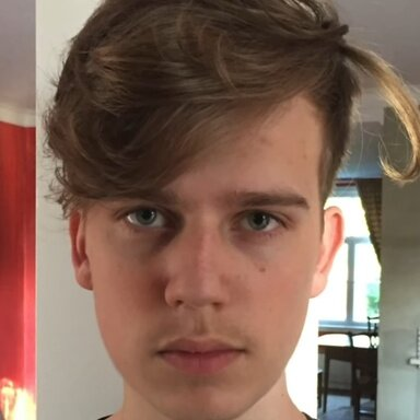 Being a birdcel is good | Looksmax.org - Men's Self-Improvement ...
