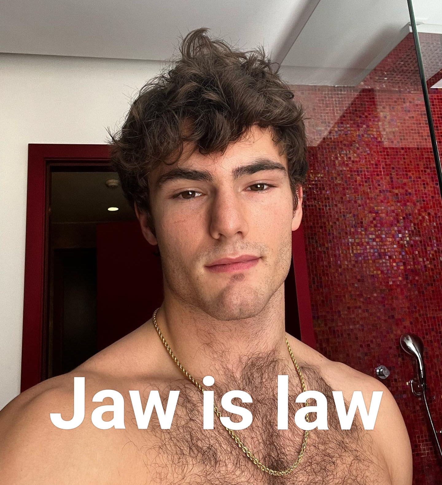 Brett Maverick is proof of how much jaw influences normies perception ...