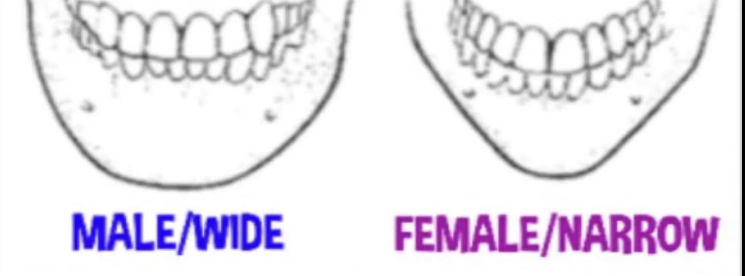 Male VS Female Traits (Dimorphism Breakdown) (HIGH IQ) | Looksmax.org ...