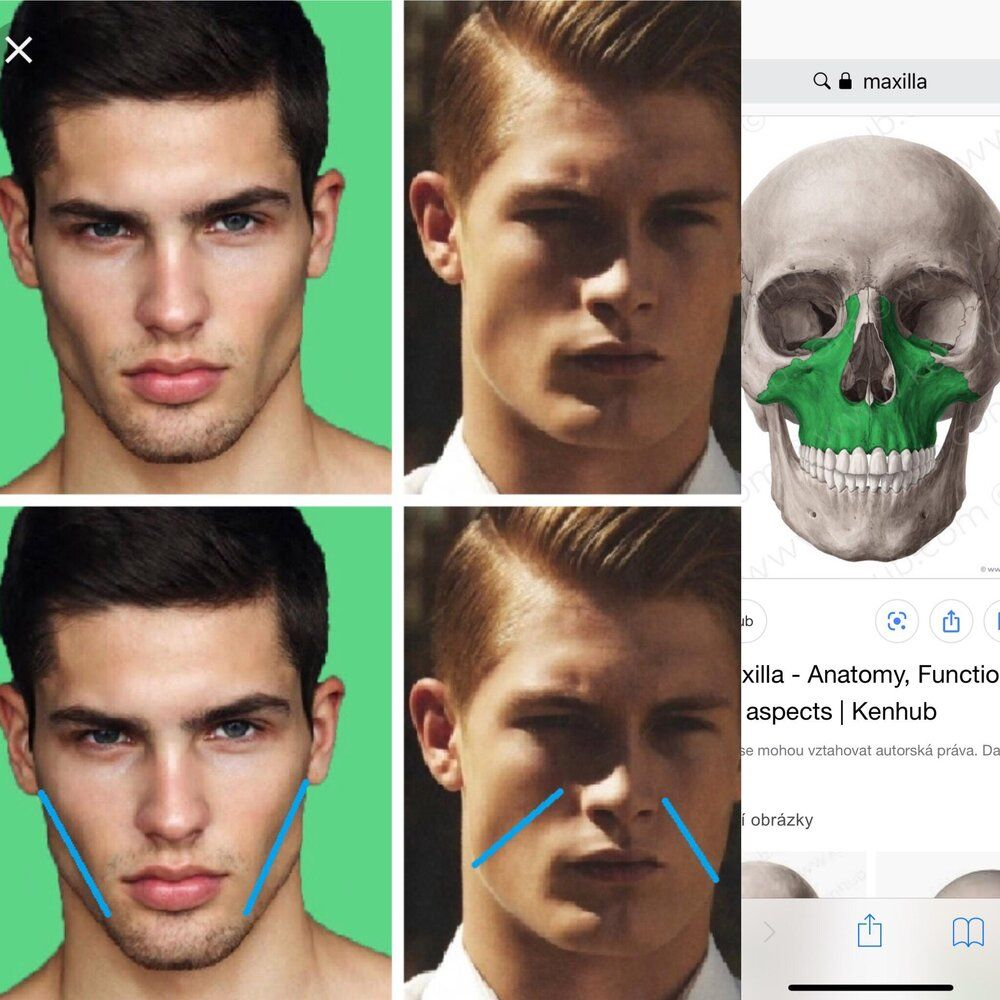 Why hollow cheeks are impossible for most men | Looksmax.org - Men's ...