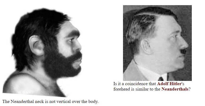 Do you have the Neanderthal forehead ? | Looksmax.org - Men's Self ...