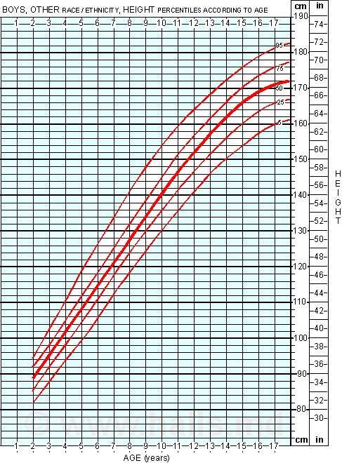 ZOOMER HEIGHT GROWTH CHART FOR EVERY RACE IN THE US (MUH WHITE ZOOMERS ...