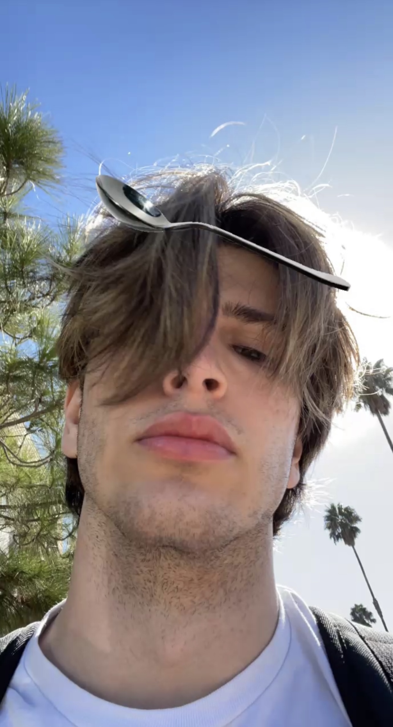 Syrianpsycho is fake | Looksmax - Men's Self-Improvement & Aesthetics