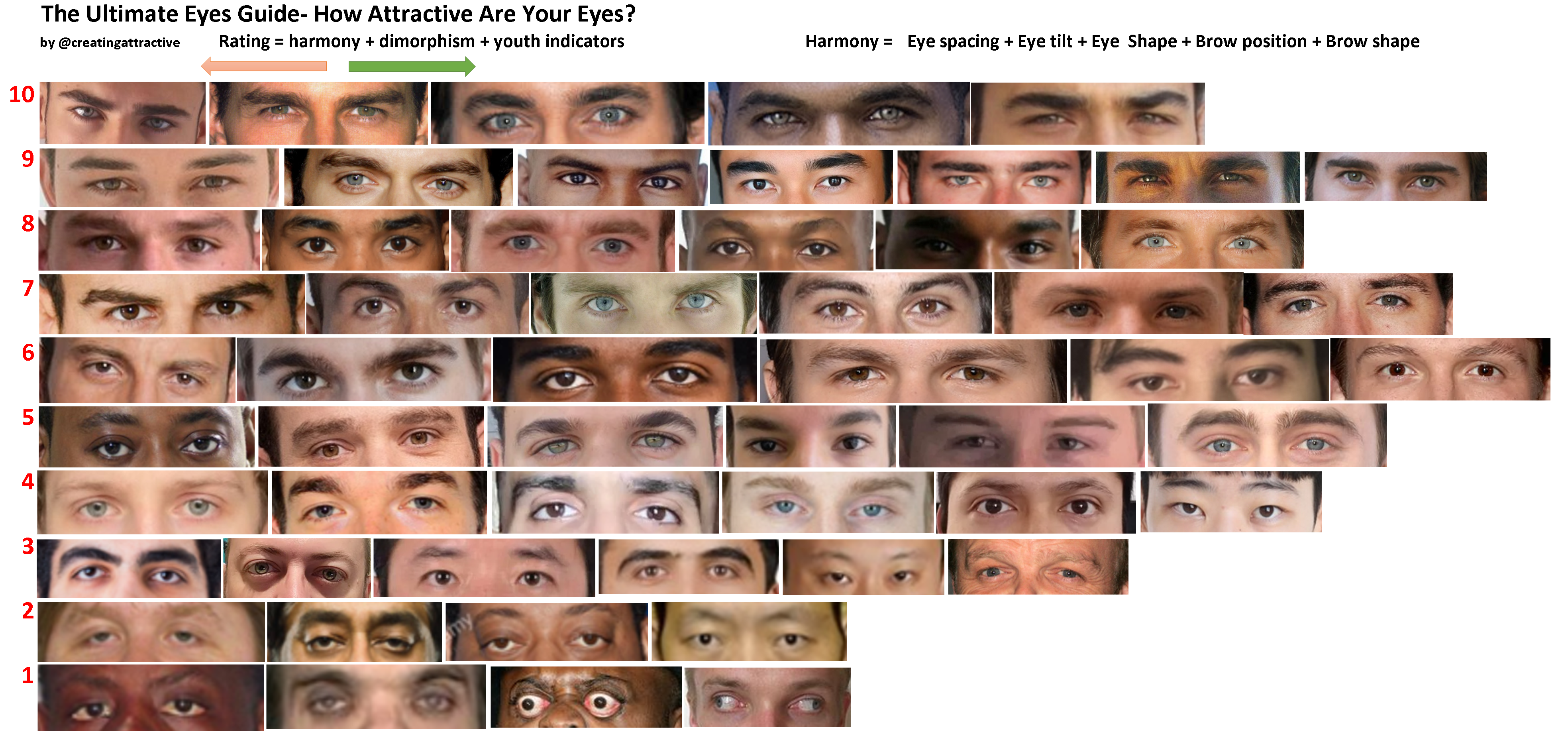Eye Area Chart - Rate Yourself! | Looksmax.org - Men's Self-Improvement ...