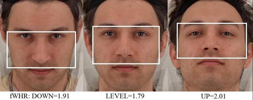 Posture can change your fwhr ratio in pictures | Looksmax.org - Men's ...
