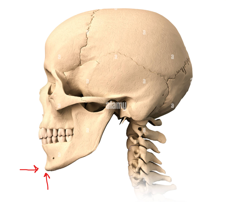 Normies discovered bonesmashing JFL | Looksmax.org - Men's Self ...