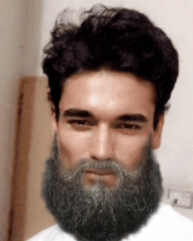Facial Hair and the Illusion of Evolutionary Advantage: A Comprehensive ...