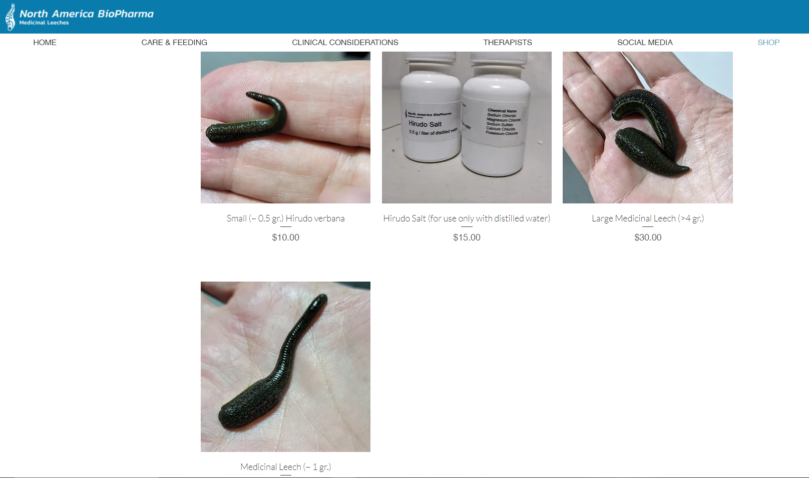 Leech therapy | Looksmax.org - Men's Self-Improvement & Aesthetics