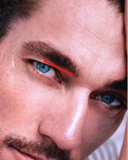 How to get denser eyebrows? | Looksmax - Men's Self-Improvement ...