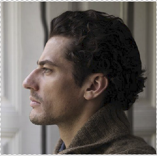 dorsal hump compensates for weak brow ridge | Looksmax.org - Men's Self ...