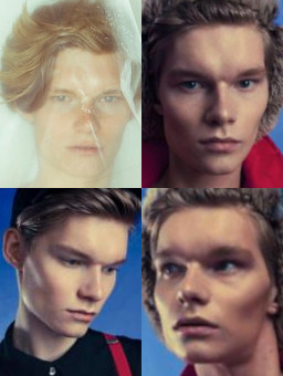 Rate Polish model Daniel Płóciennik | Looksmax.org - Men's Self ...