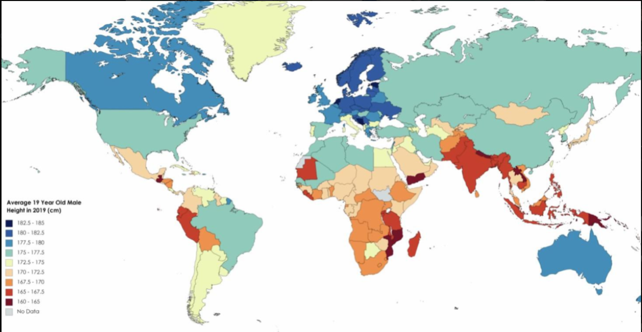 Average male height in europe in 2022 | Looksmax.org - Men's Self ...