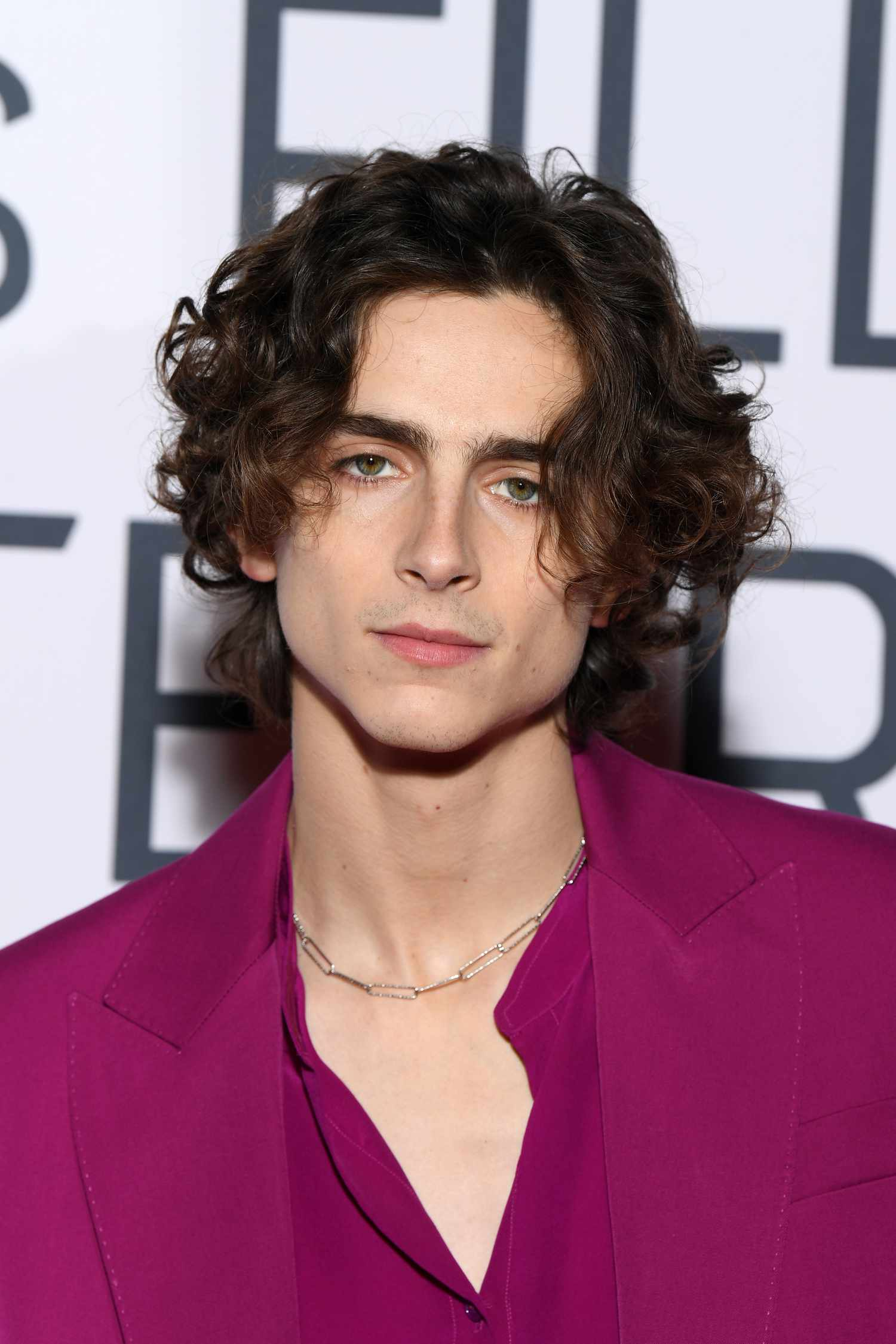 Timothee Chalamet is proof face (and neck)is everything. | Looksmax.org ...