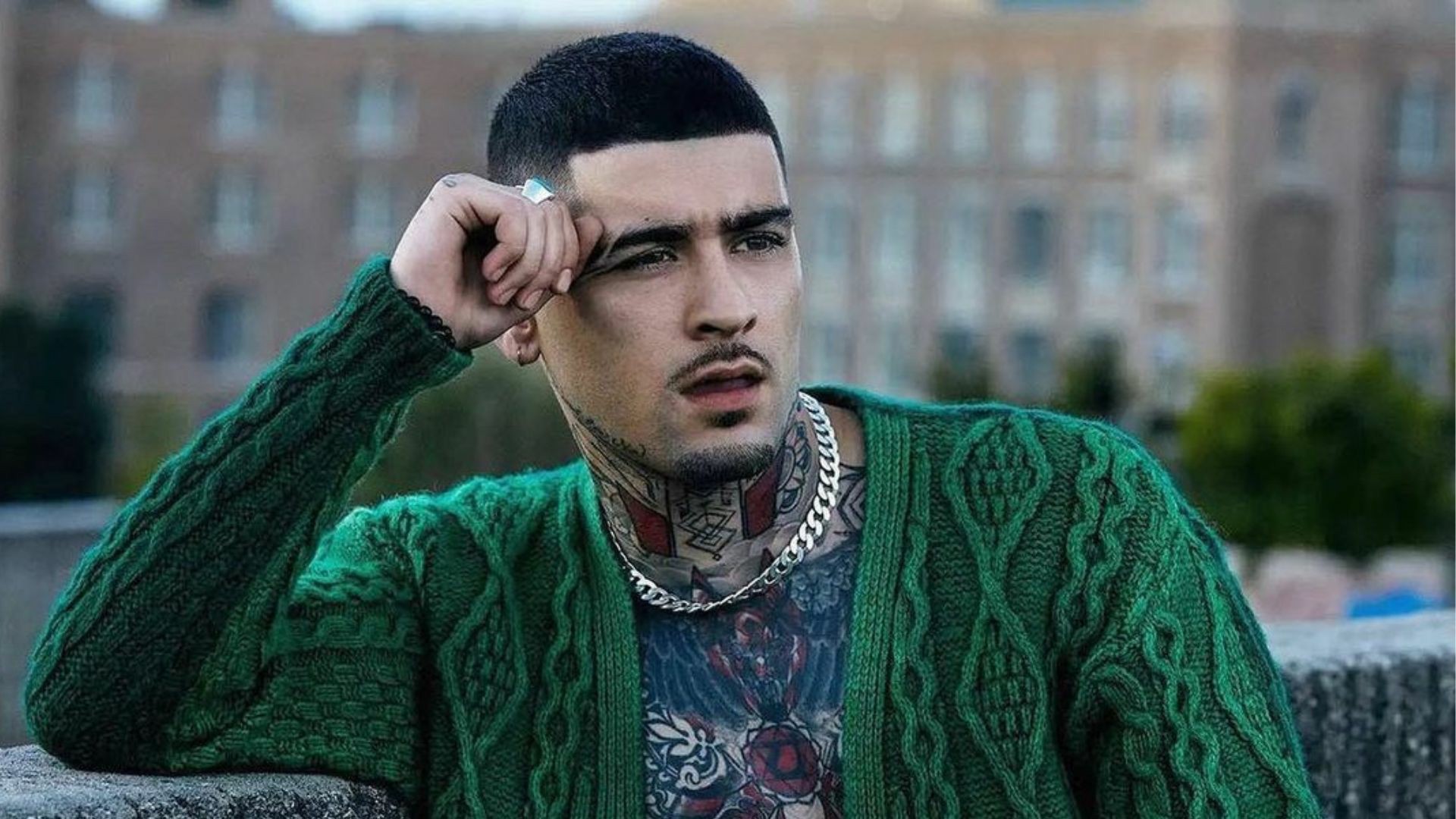 WTF? Zayn Malik descended so hard. From 9/10 pretty boy to a 5/10 ...