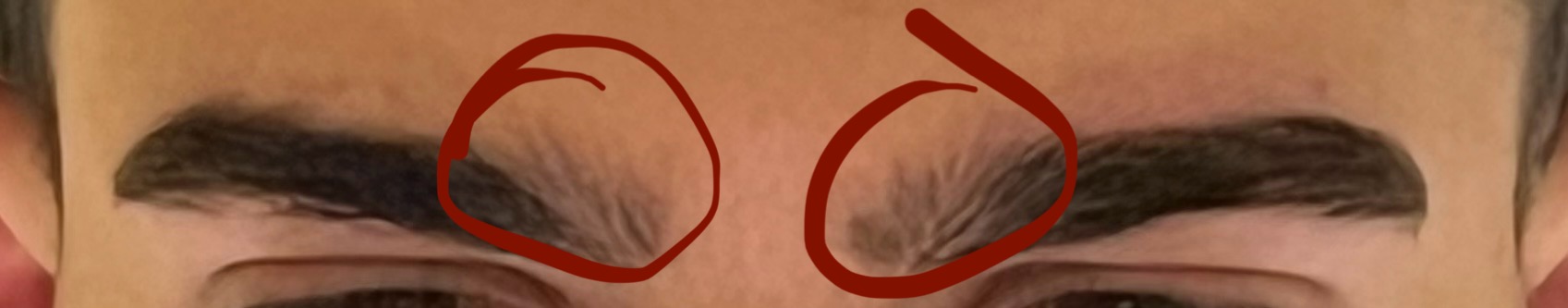 less density eyebrow density in certain areas | Looksmax.org - Men's ...
