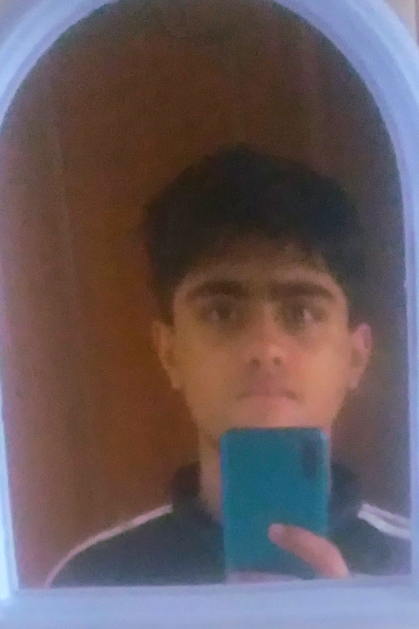 I look even more subhuman from back camera mirror pics | Looksmax.org ...