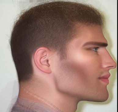 How to correct ape side profile | Looksmax.org - Men's Self-Improvement ...