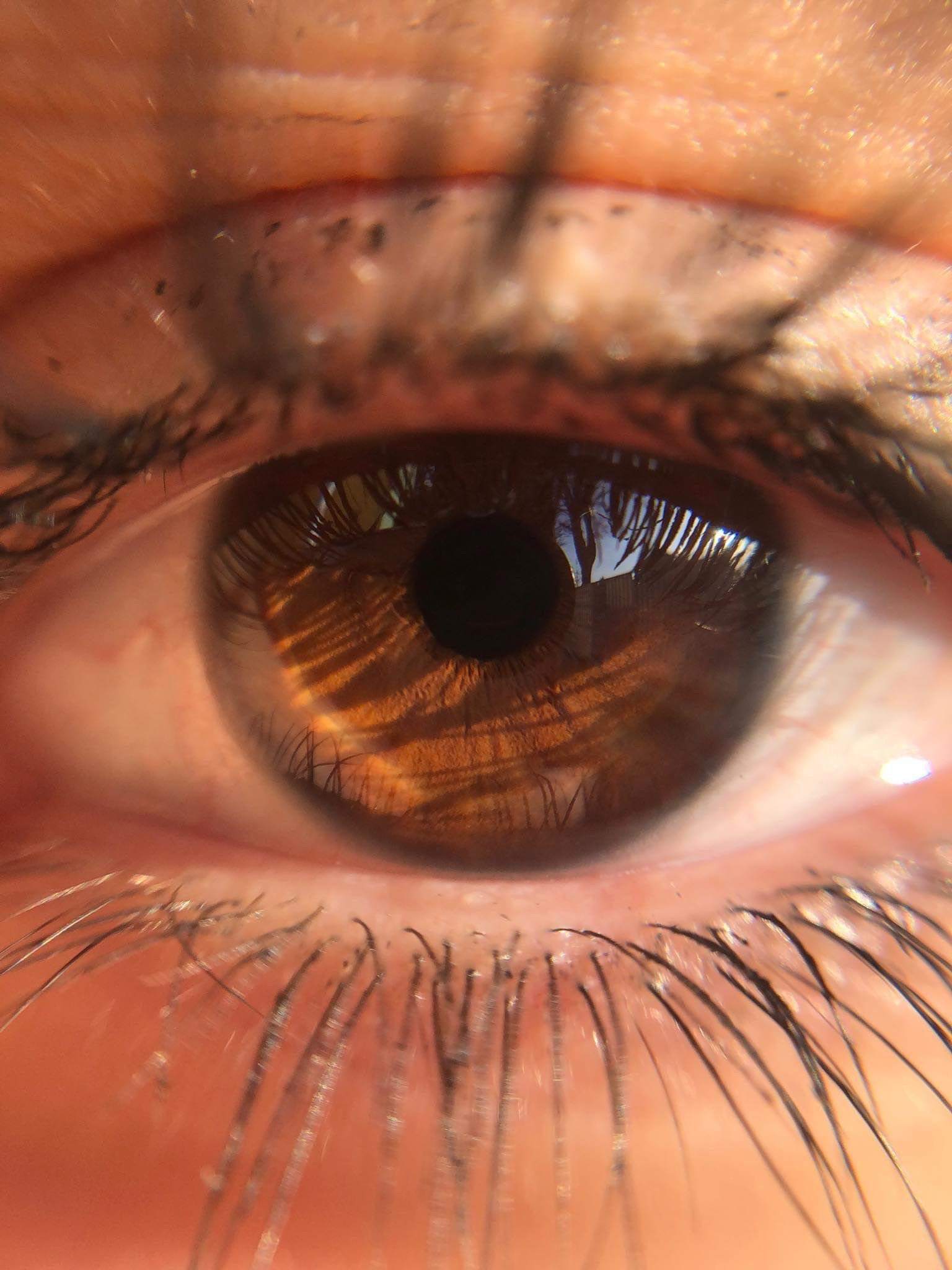 Brown eyes are the worst for the dark triad | Looksmax.org - Men's Self ...