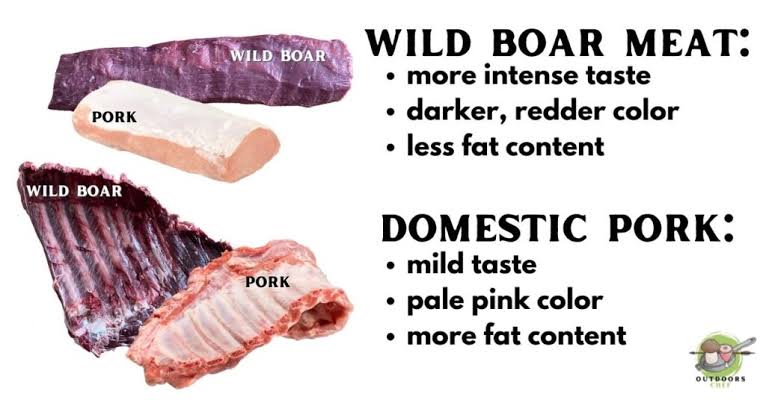 STOP eating Pork | Looksmax.org - Men's Self-Improvement & Aesthetics