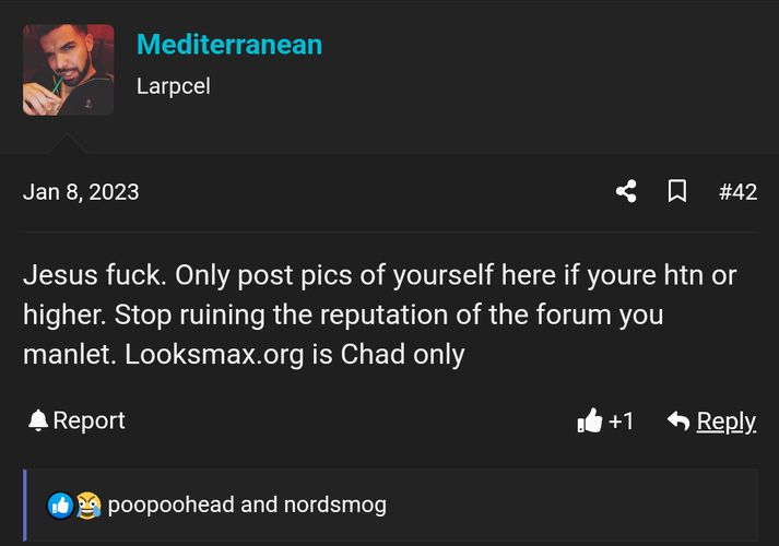 Looking at replies to nordsmog posts are so funny | Looksmax.org - Men ...
